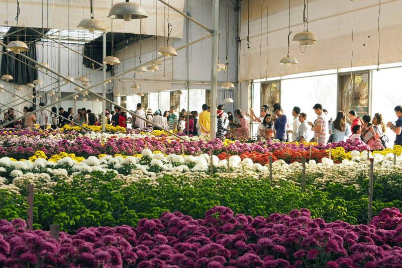 สืบสานคุณค่าสมุนไพรไทย ท่ามกลางมวลดอกไม้ที่..ปราจีนฯ